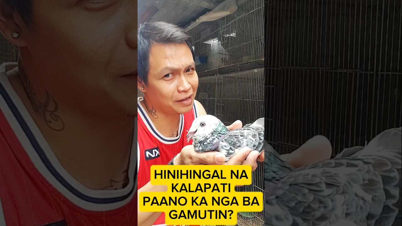 Bakit siya hinihingal? #shorts - YouTube