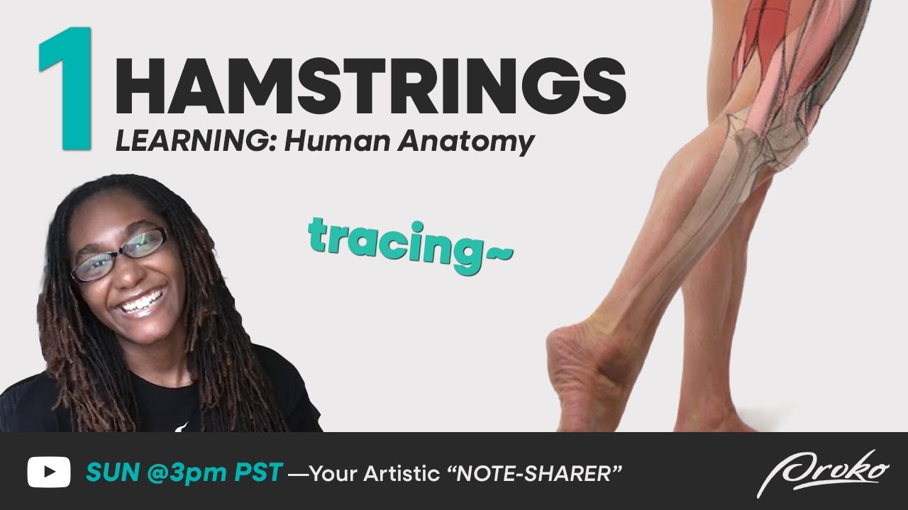 PROKO Anatomy Training: HAMSTRIIIIINGSSS! - PART 1 - YouTube
