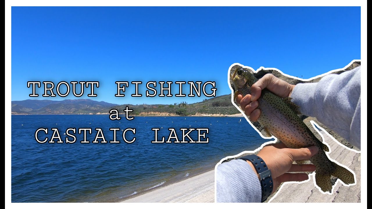 Trout Fishing at Castaic Lake (Quick Limit) - YouTube