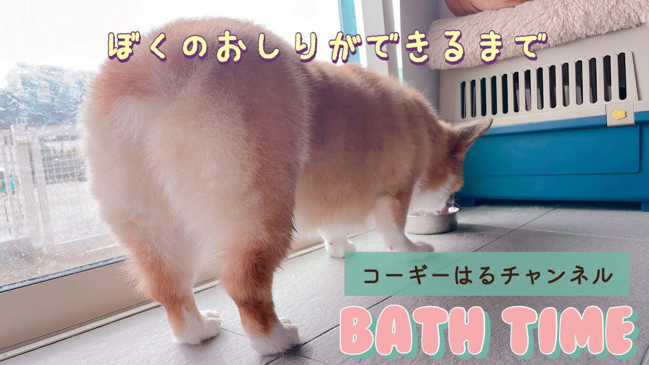 BUTH TIME - YouTube
