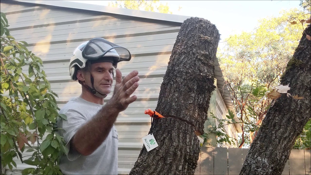 Review Notch: Climber's Best Friend Mini Felling Wedge - YouTube