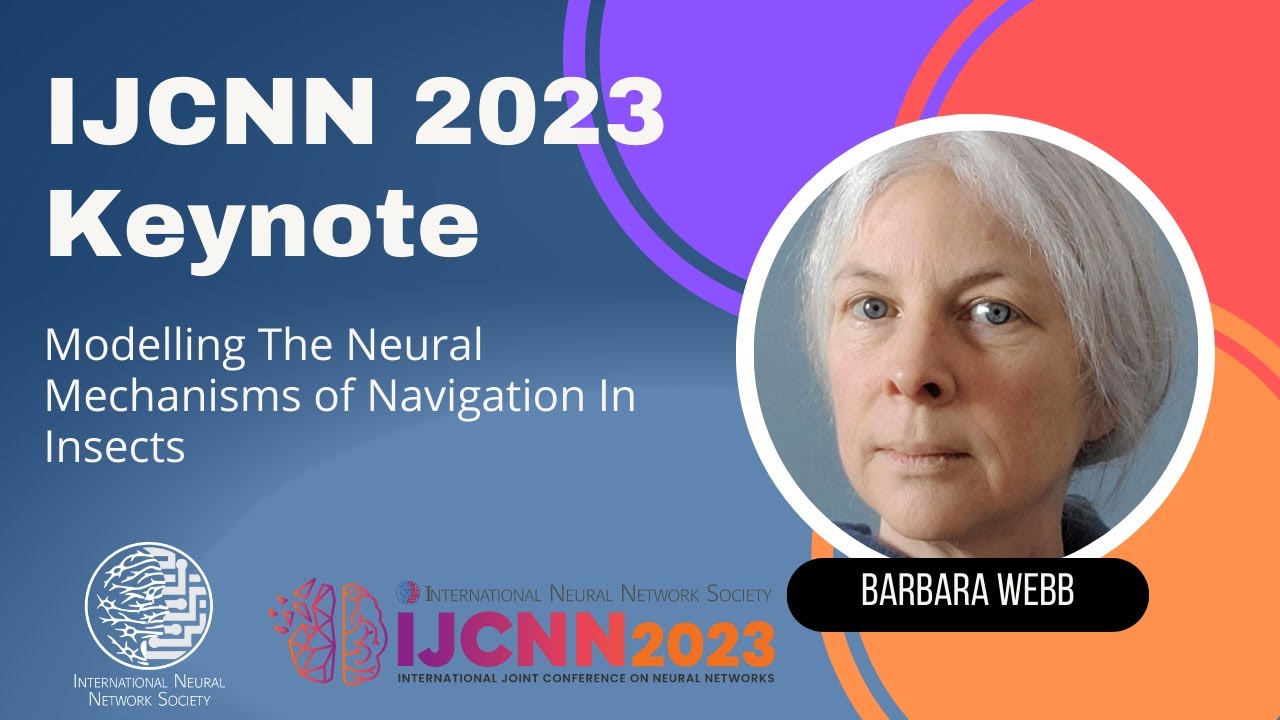 Modelling The Neural Mechanisms of Navigation In Insects - YouTube