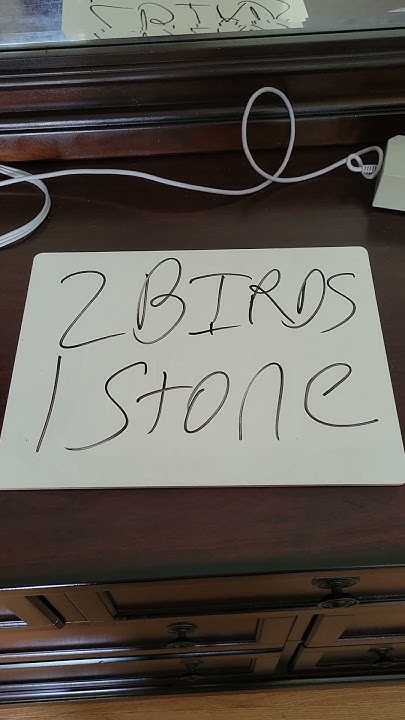 2 birds 1 stone - YouTube