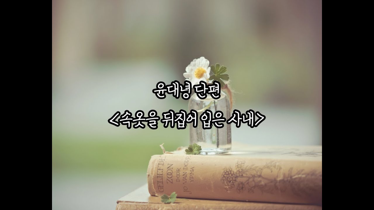 윤대녕 단편, 속옷을 뒤집어 입은 사내, A man wearing his underwear inside out, short ...
