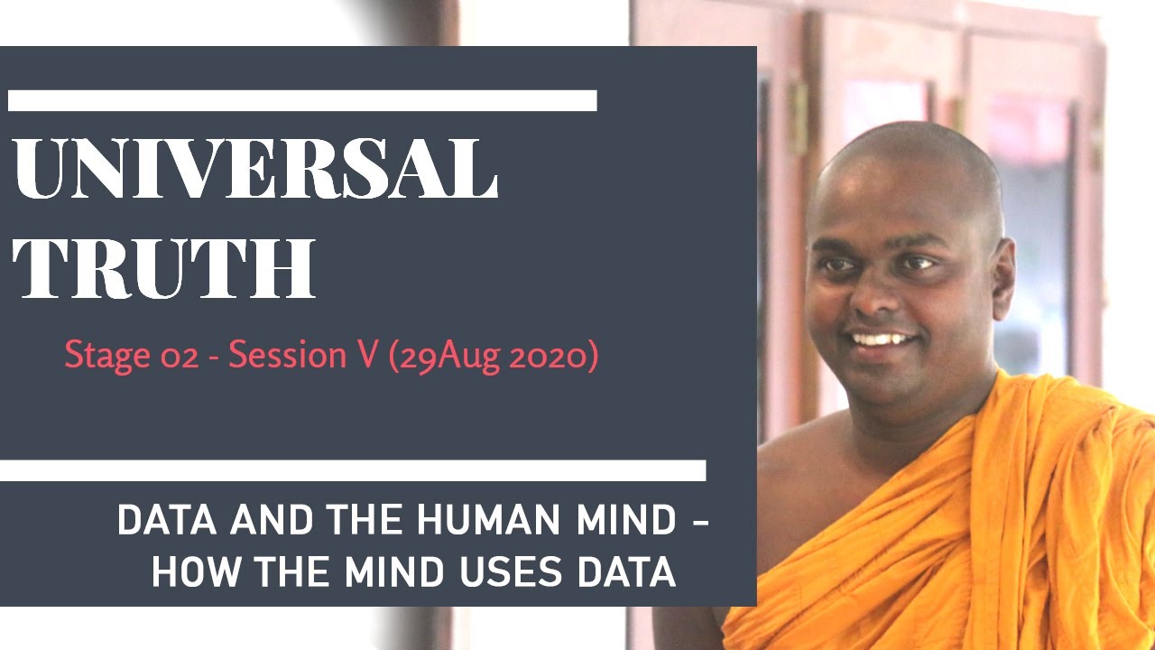 05 | Data and the human mind: how the mind uses data - YouTube