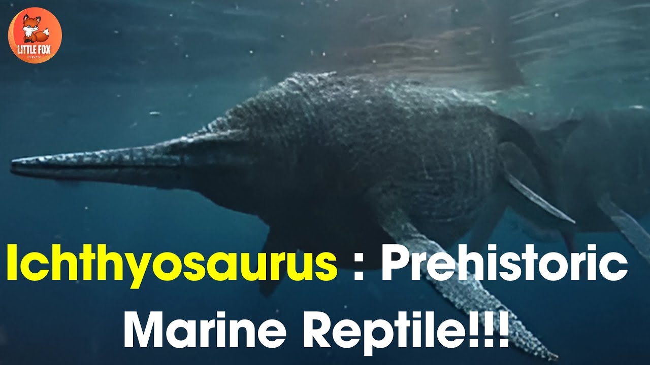 Prehistoric Marine Reptile - Ichthyosaurus in Sea #kids #prehistoric # ...
