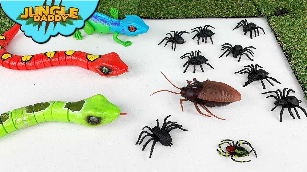 LIZARDS & COCKROACH Toys!! "Jungle Daddy" crawling insects for kids ...