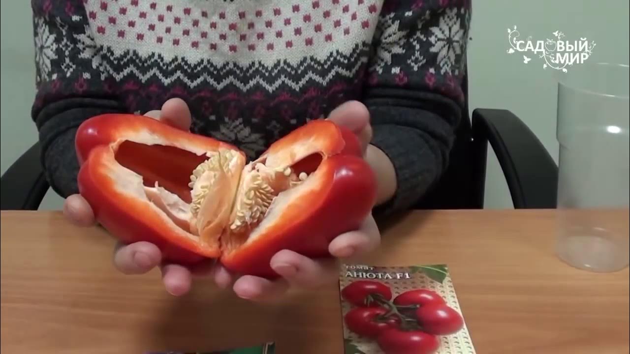 Как сеять перцы на рассаду Выбор сортов для Средней полосы. Сайт ...