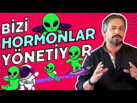Bizi Hormonlar Mı Yönetiyor? I Dr. Yunus Uçarcı
