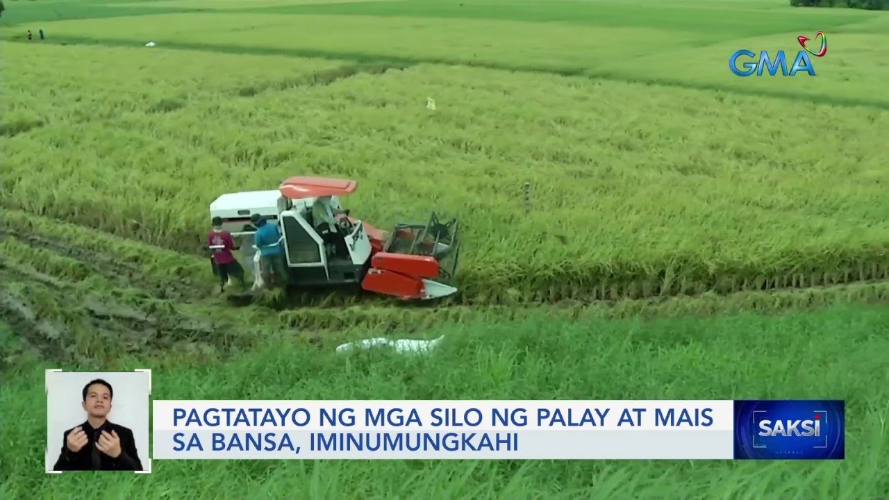 Pagtatayo ng mga silo ng palay at mais sa bansa, iminumungkahi | Saksi ...