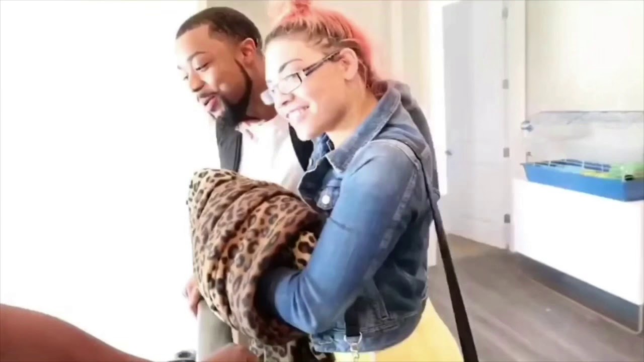 Alex and Rodney New intro💛 - YouTube