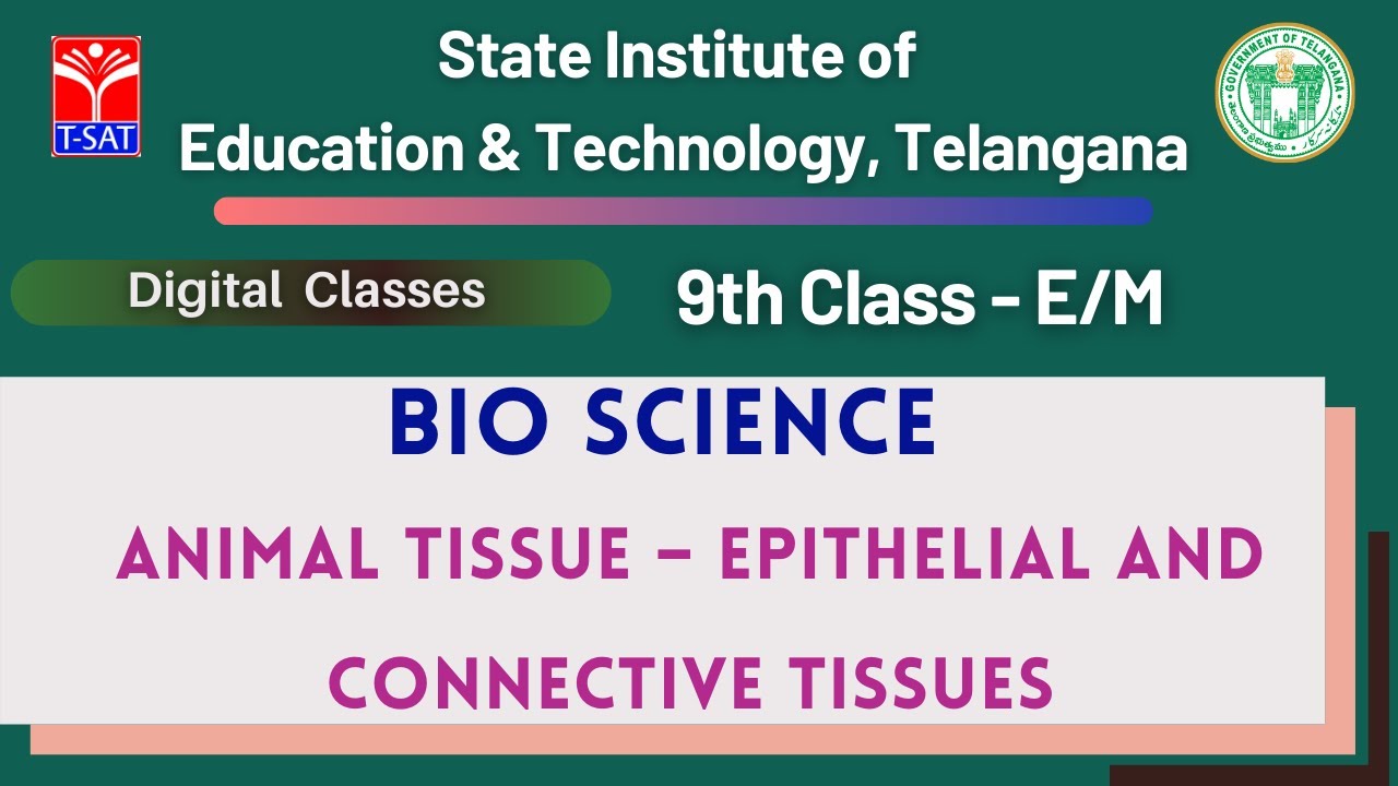 SIET : 9th Class (E/M) || BIO SCIENCE - Animal Tissue – Epithelial and ...