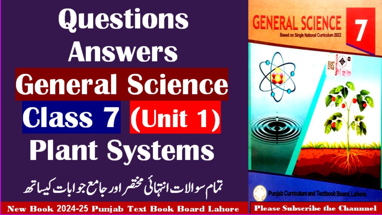 Questions Answers Of General Science Class 7 Chapter 1 Plant Systems questions-answers-of-general-science-class-7-chapter-1-plant-systems