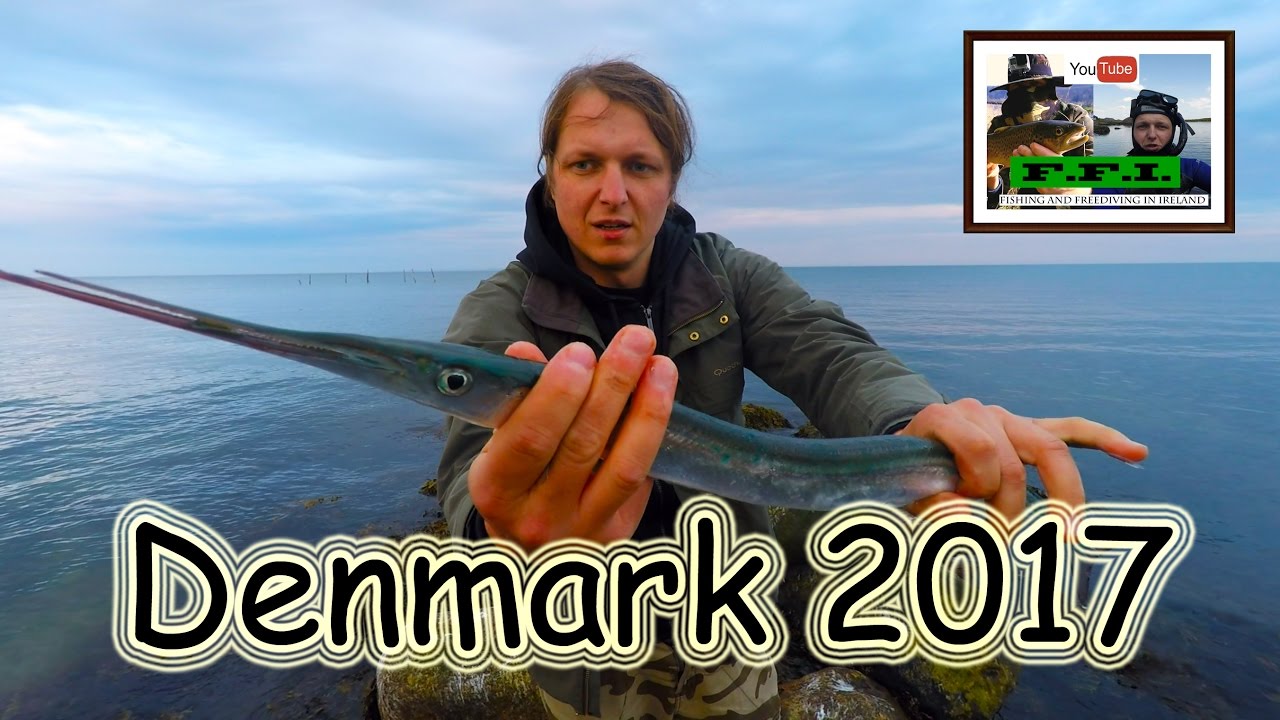 Fishing in Denmark 2017 - Garfish - YouTube