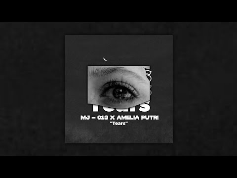 MJ - 013 X Amelia Putri - Tears | Alan walker style