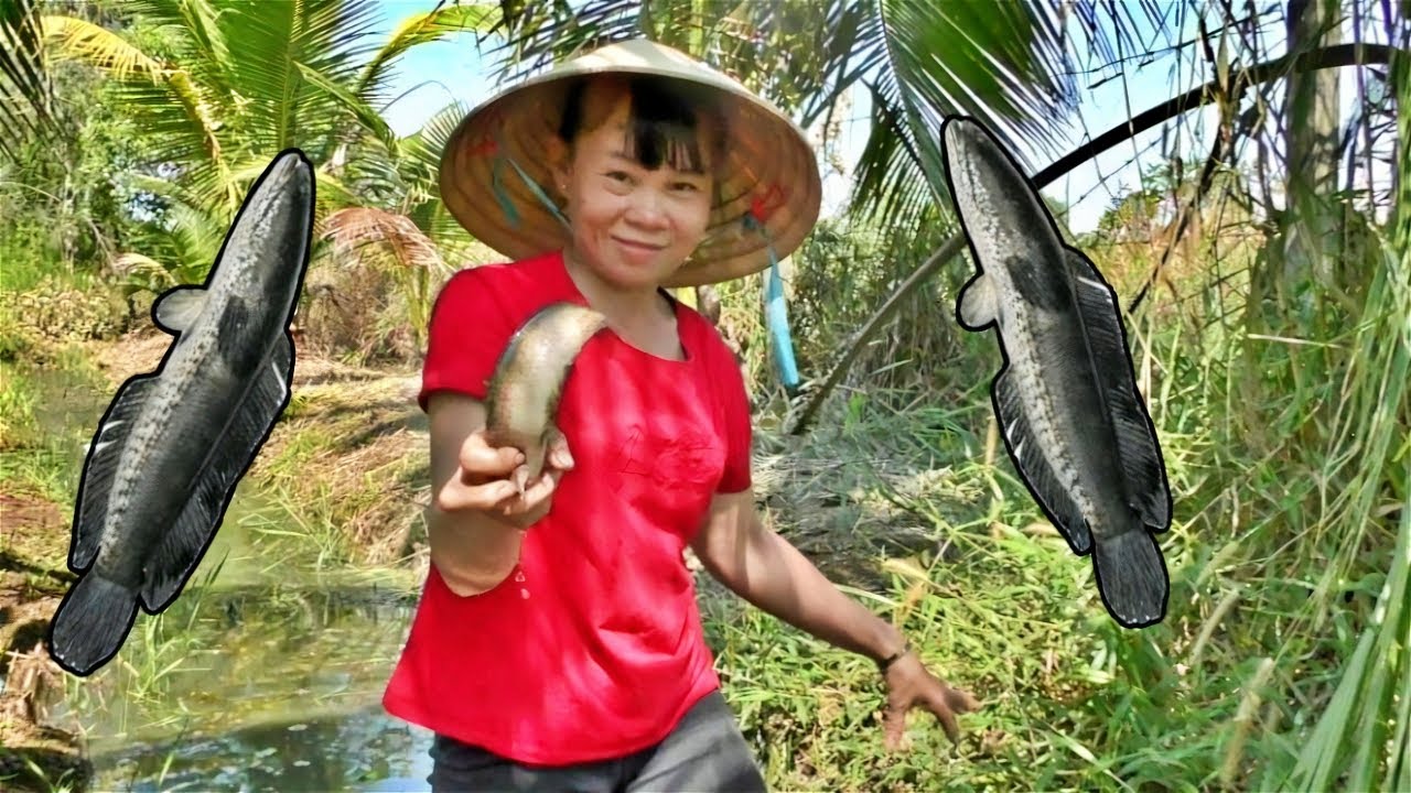 Amazing fishing - Traditional way of catching fish is extremely ...