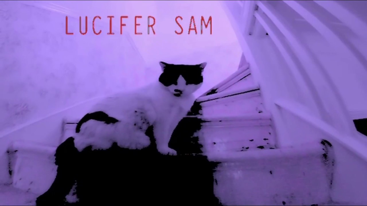 Elepharmers - Lucifer Sam (Pink Floyd cover) - YouTube