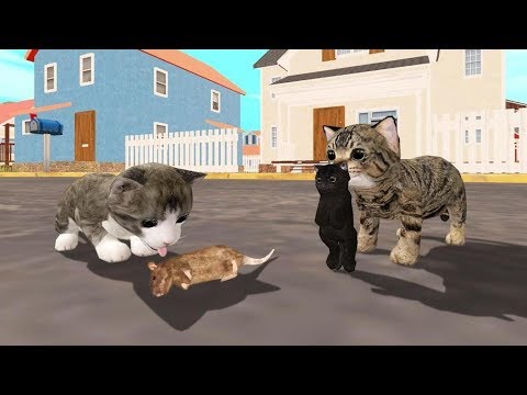 Cat Sim Online: Play with Cats Android Gameplay Ep 4 - YouTube
