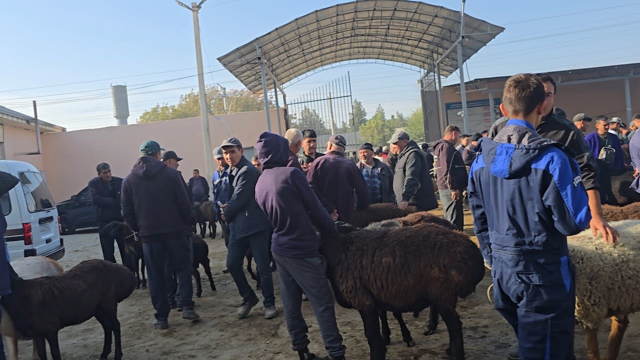 SAMARQAND PASTDARGOM JUMA MOL QUY BOZORI UTKIR UZ 90 505 29 30 - YouTube