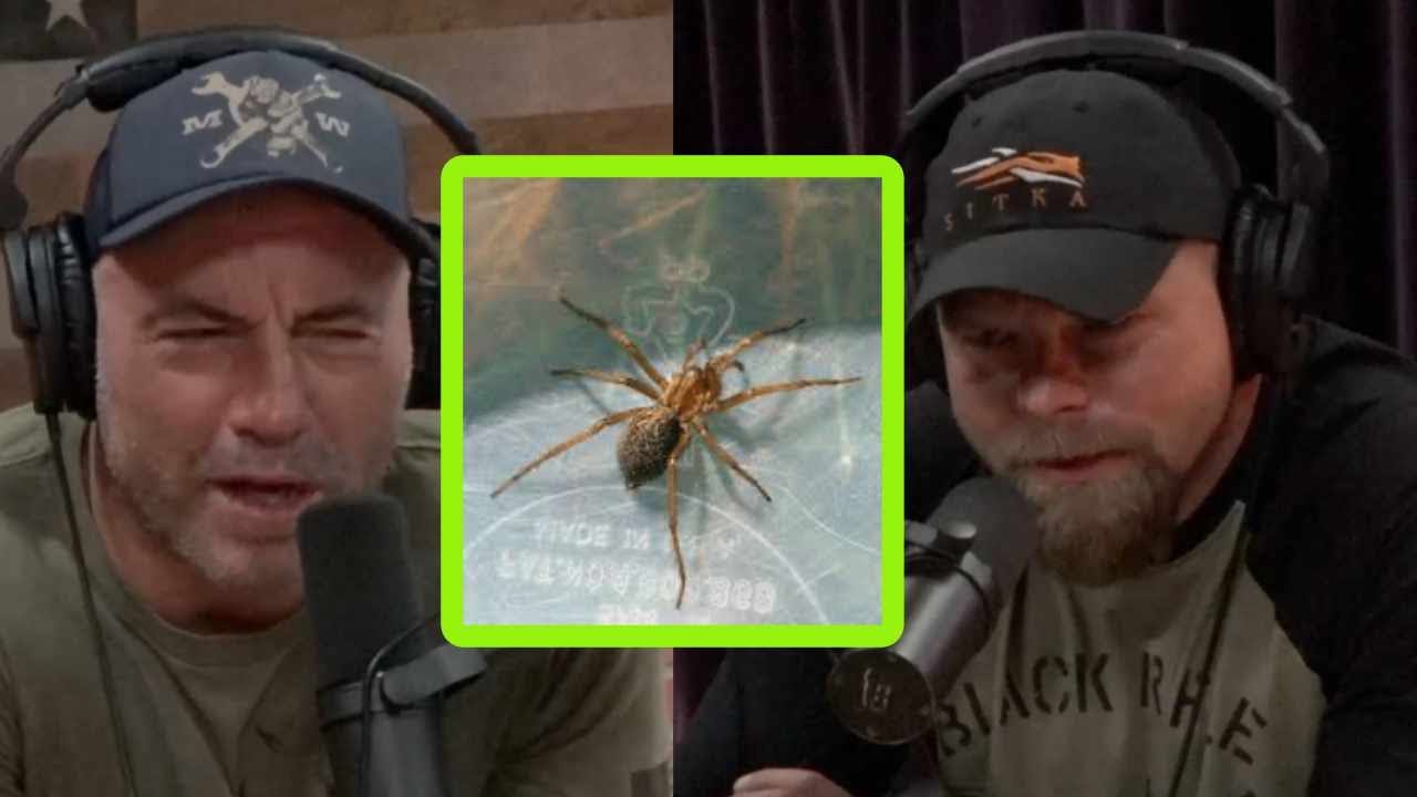 Bow Hunter Aron Snyder's Most Painful Experiences in the Woods - YouTube