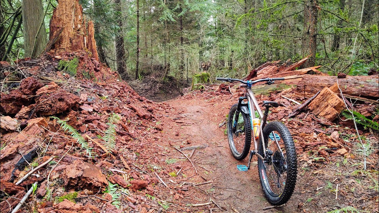 2020 Santa Cruz Chameleon Bike & Shred! Modded Hardtail MTB - YouTube