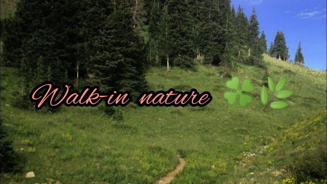 Walking in nature, wonderful calm 🌸💐🌼 - YouTube