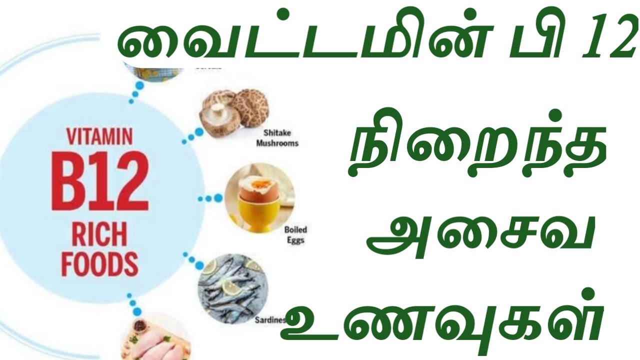 Vitamin B12 Foods In Tamil 12 vitamin B12 Vitamin B12 Foods In Tamil 12 vitamin B12