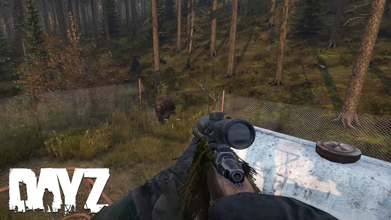 How Many 308 Rounds to Take Out a Bear Dayz Survival - YouTube