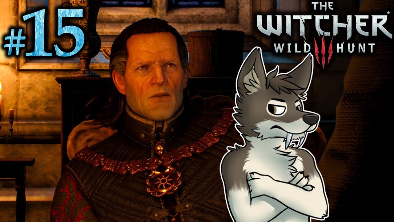IT'S ALL POLITICS || THE WITCHER 3 Let's Play Part 15 (Blind) || THE ...