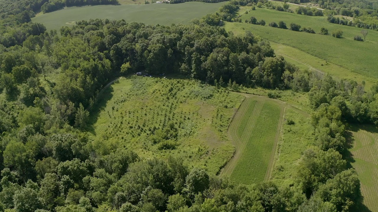 45.64 Acres | County Line Road - YouTube