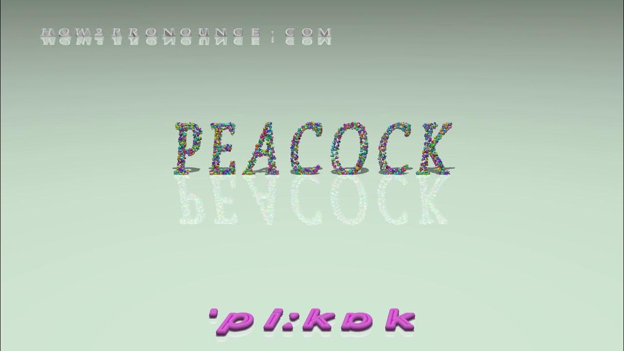 peacock - pronunciation + Examples in sentences and phrases - YouTube