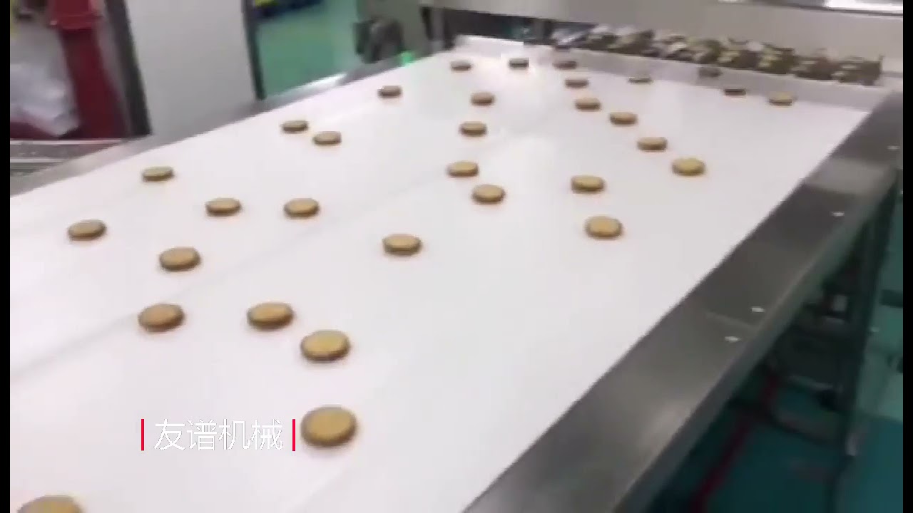 multi lane biscuit stacker with auto tray filling system - YouTube