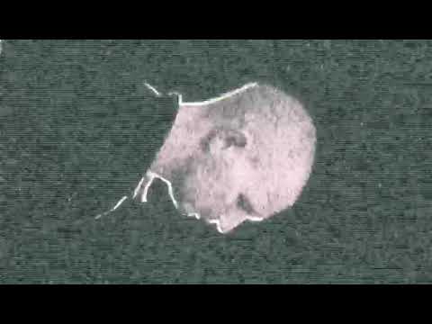 Austin Turley // Crooked Letter I - YouTube