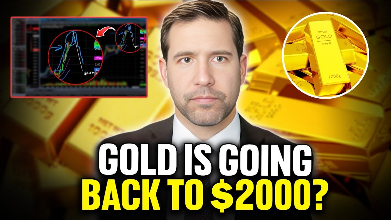Scary Gold Price Drop! Chris Vermeulen Drops BOMBSHELL Predictions for ...