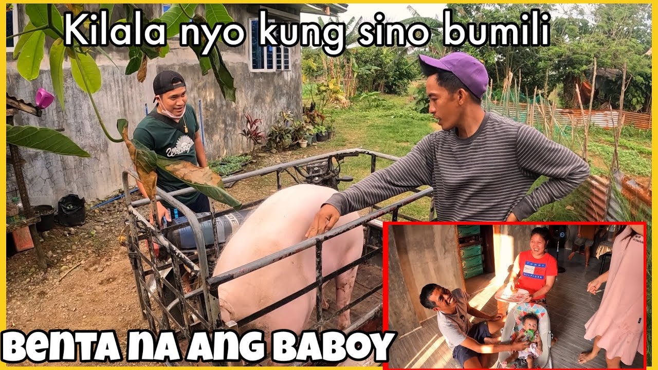 Dahilan sa pagbenta ng INAHING BABOY + simpleng bday celebration ni jun ...
