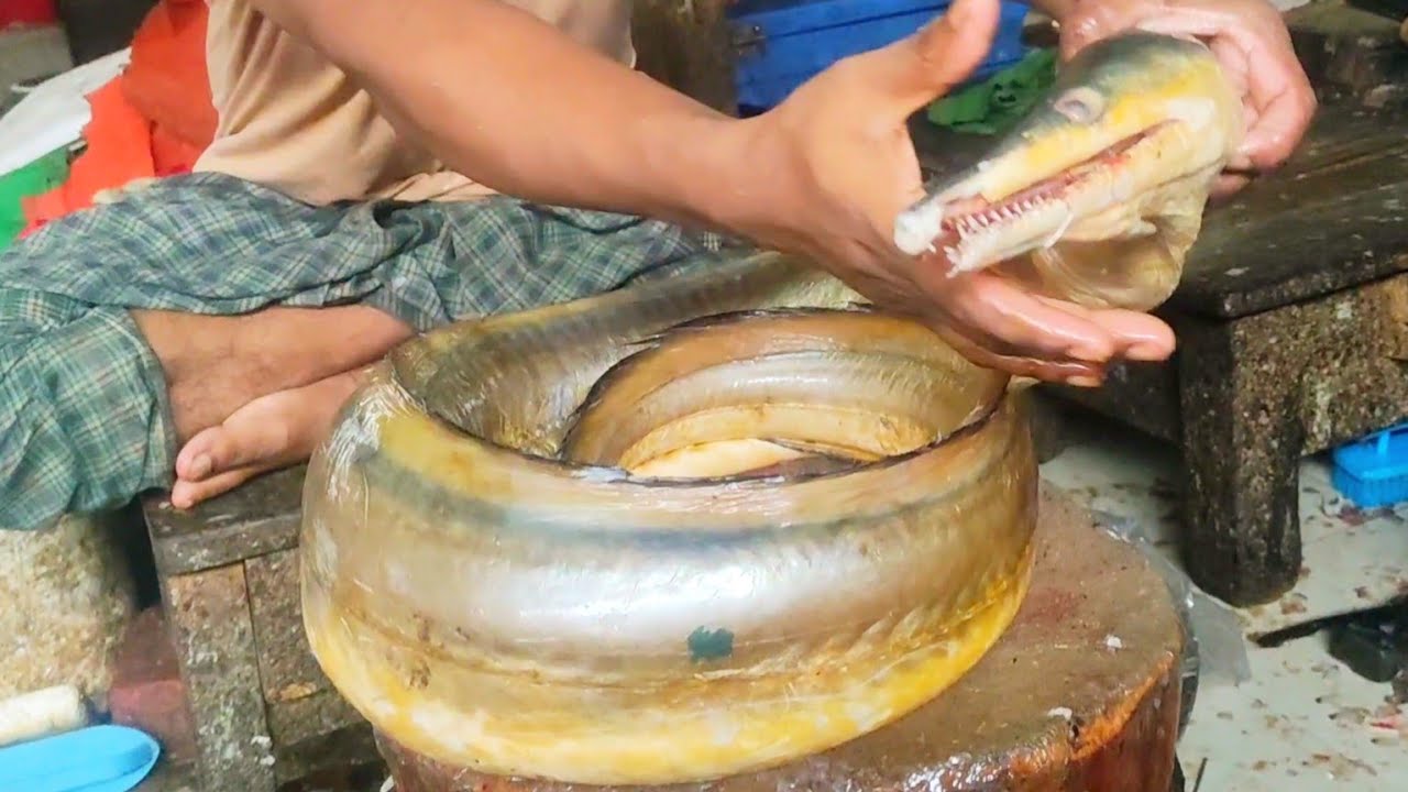 Amazing 5KG Monster Eel Fish Cutting & Skinning Skills In Fish Market ...