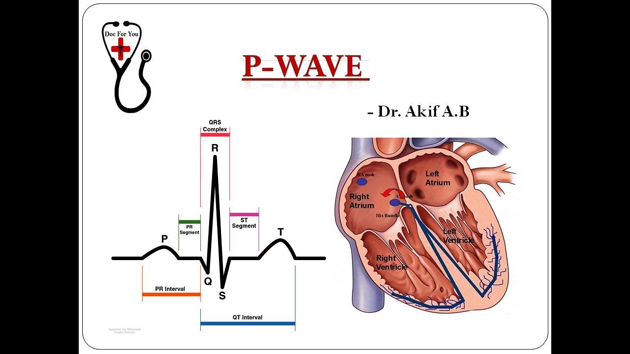 P wave in ECG - Dr. Akif Baig - YouTube