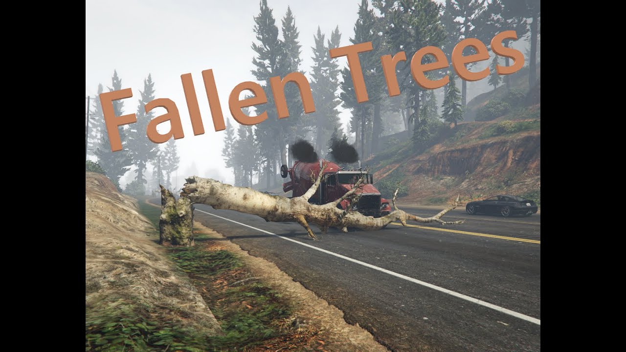 Hyon - Fallen Trees - YouTube