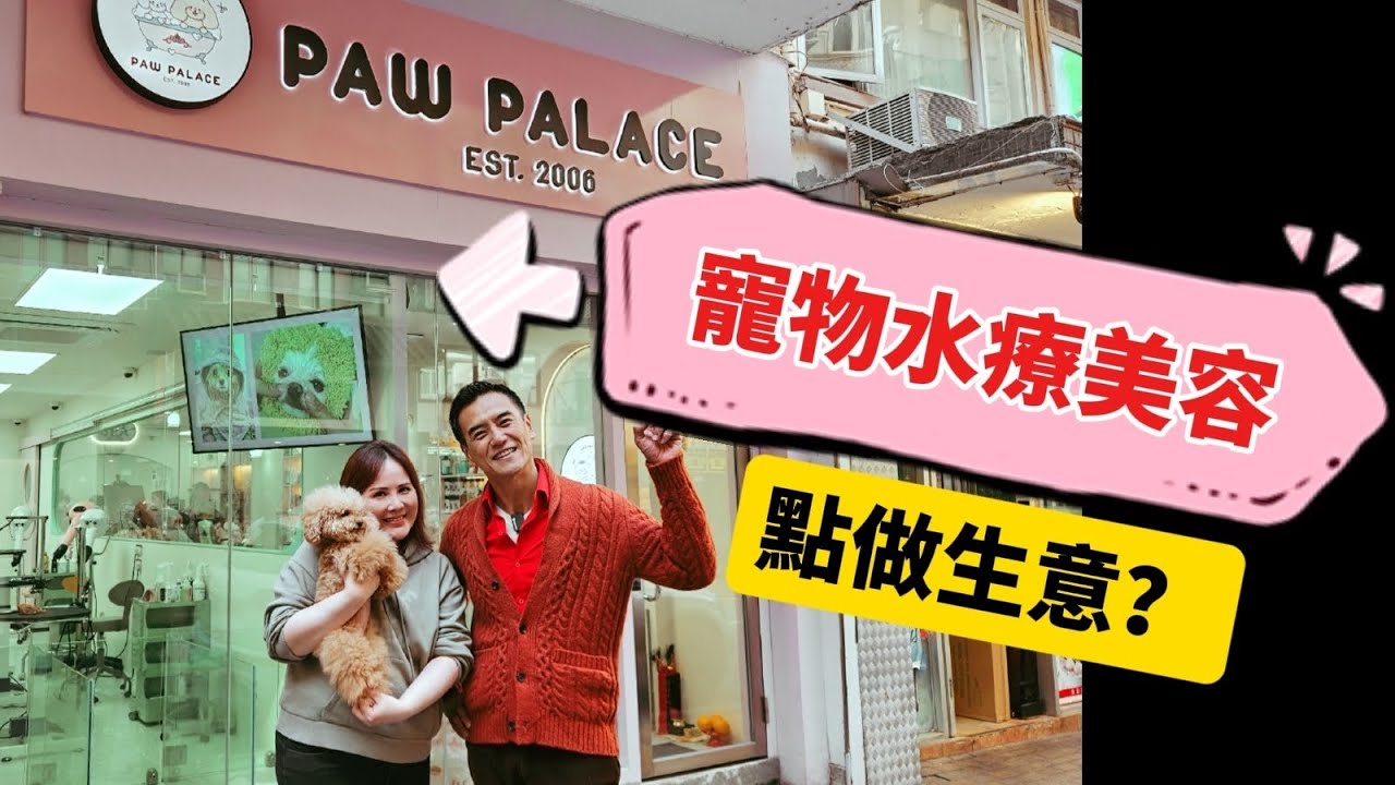 Live《 #寵物水療美容點做生意 ： #Paw_Palace 》by Nicky Ng #寵物水療美容創業 - YouTube