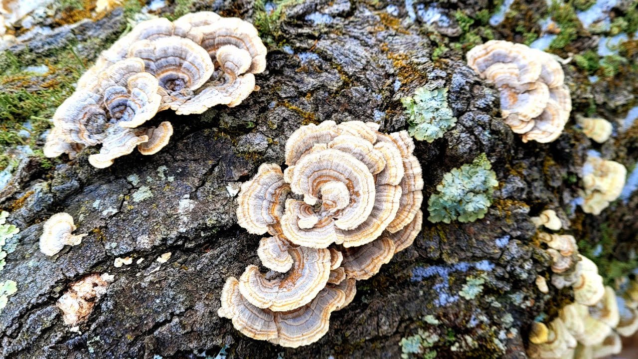 Connecting With Nature, Grounding and Energizing! Rockhounding At The ...