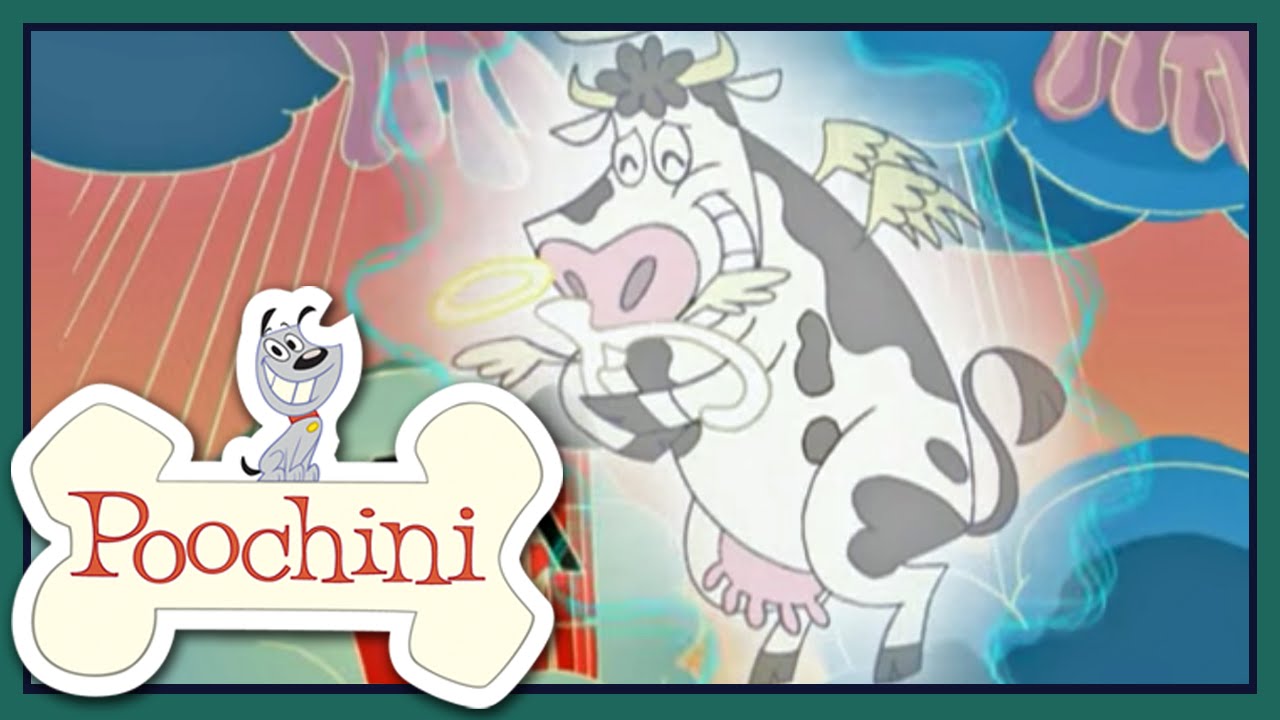 Poochini - Episódio 21 - Garden Guardian / Hurricane Poochini / Yard ...