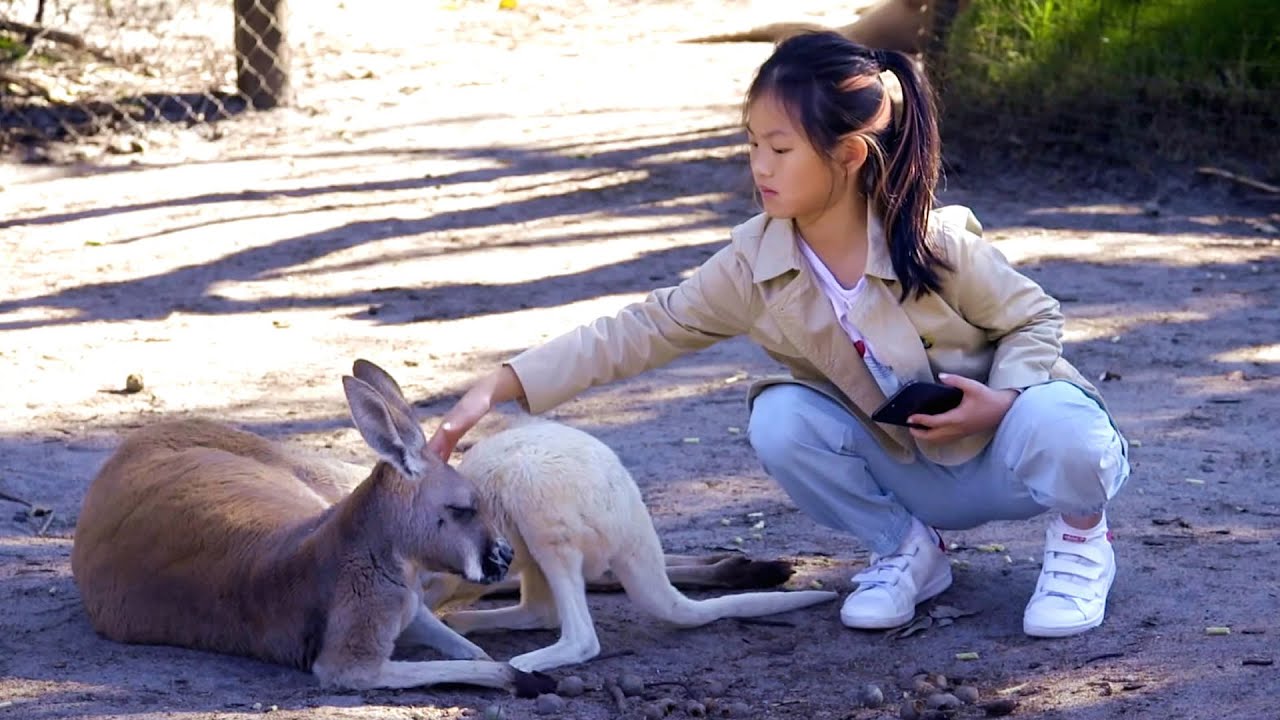 Christmas in WA - Caversham Wildlife Park - YouTube
