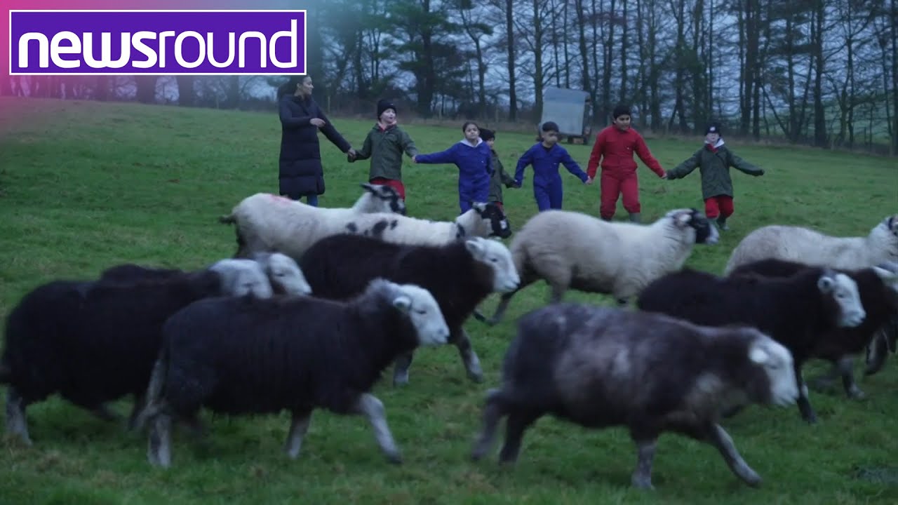 Meet the kids swapping the classroom for a farm | Newsround - YouTube