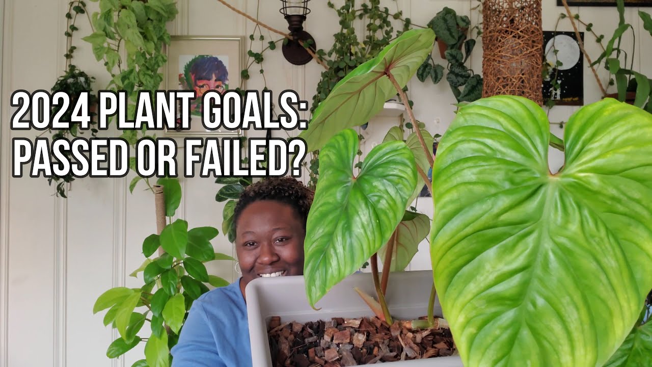 2024 Year End Plant Review - YouTube