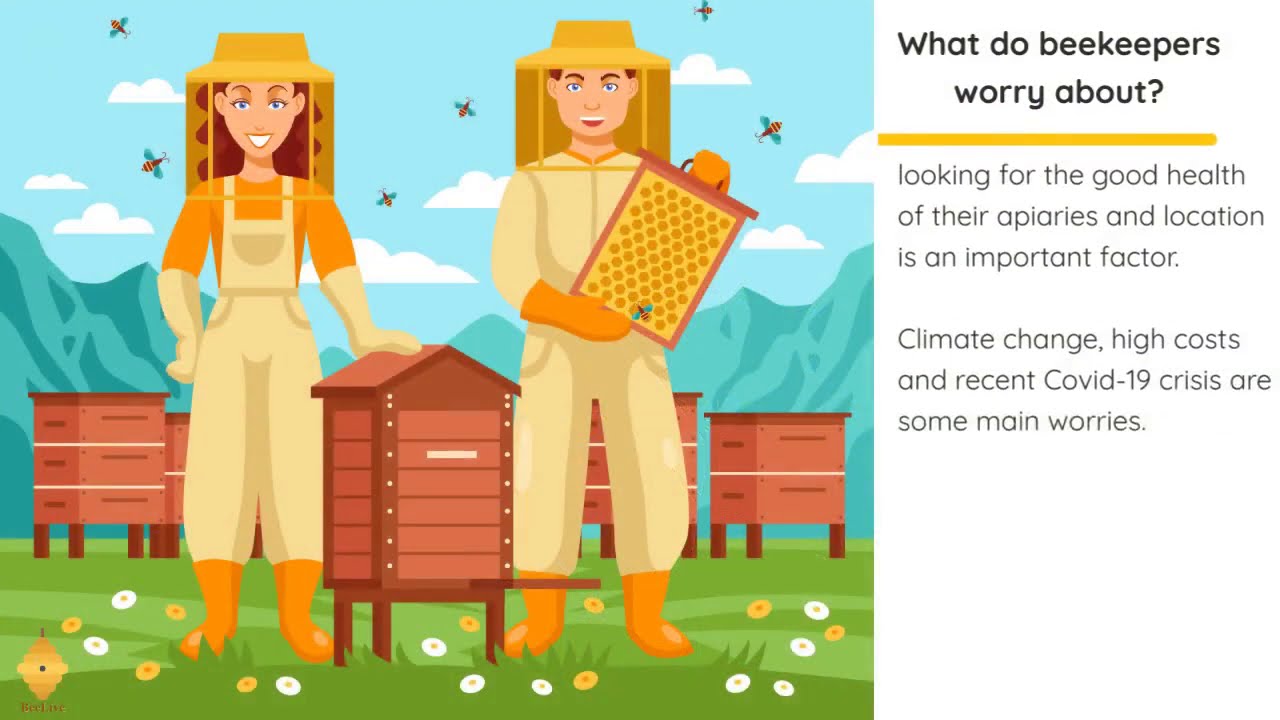 BeeLive - App Video - YouTube