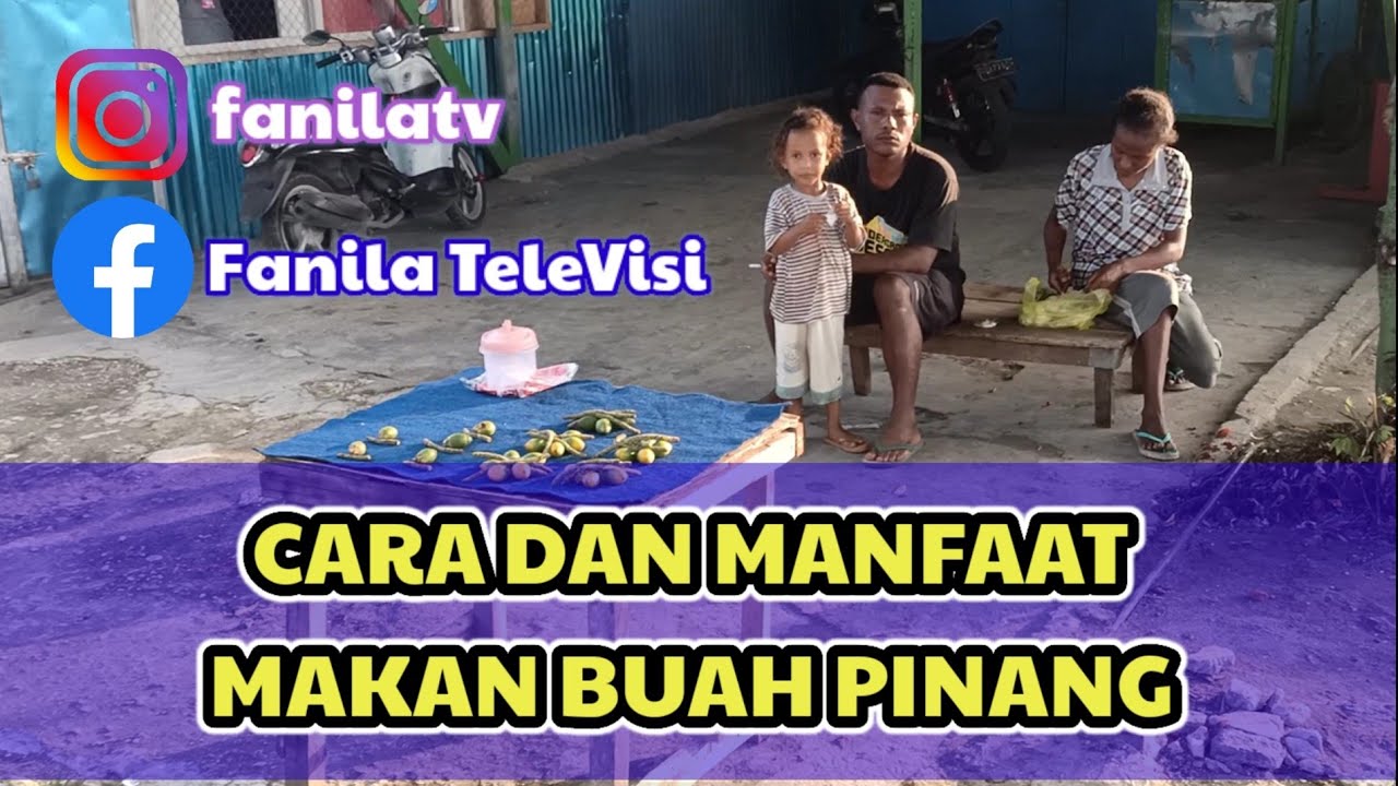 CARA DAN MANFAAT MAKAN BUAH PINANG | BELAJAR DAN BERBAGI - YouTube