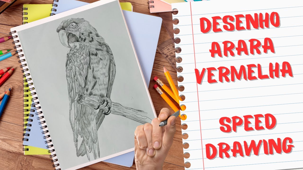 COMO DESENHAR ARARA / HOW TO DRAW A PARROT SPEED DRAWING - YouTube