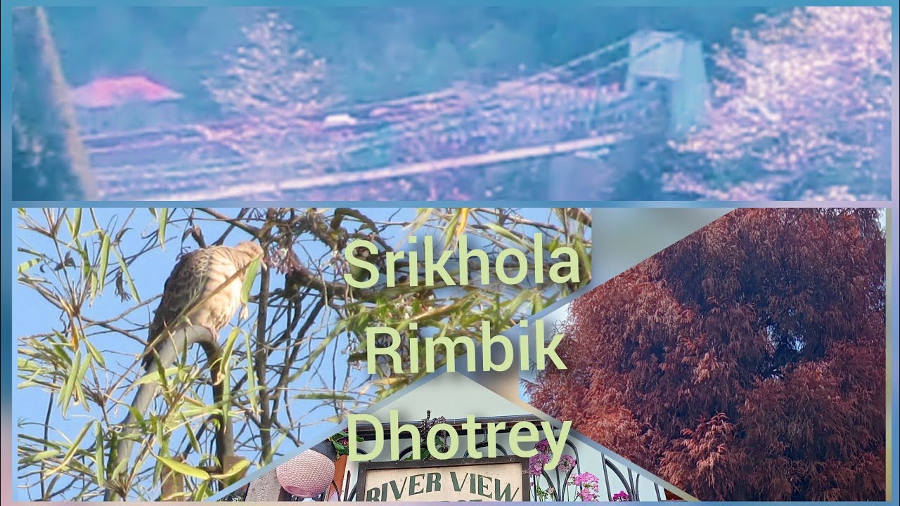 Srikhola. Offbeat Darjeeling .Rimbik. Dhotrey - YouTube