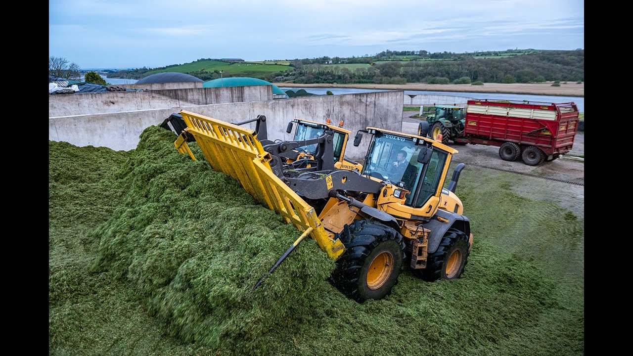 Buckraking Silage | Volvo L90 & L60 Loading Shovels - YouTube