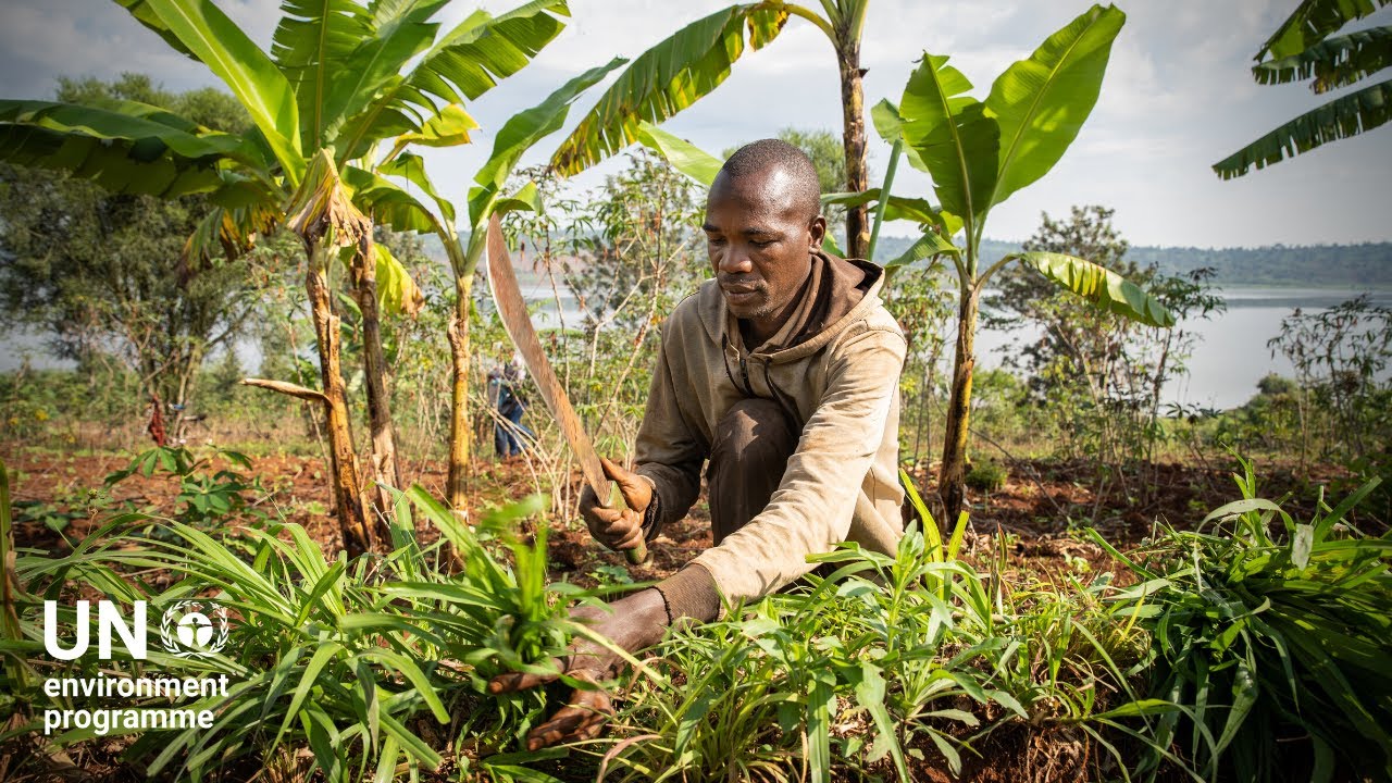 Restoring nature helps Burundi farmers adapt to climate change - YouTube